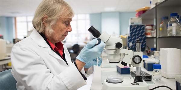 Frozen Ark: la Nueva Versión del Arca de Noé - Cultura y ocio